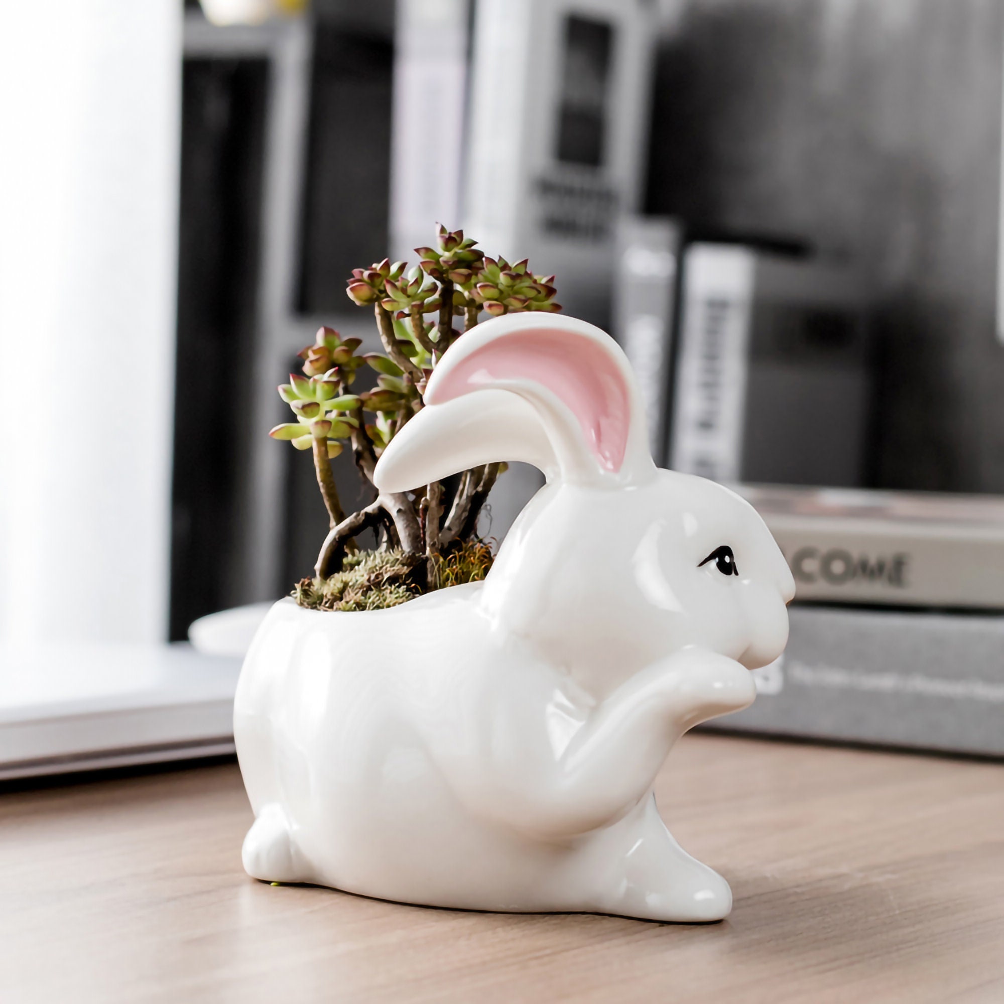 Cute Rabbit Plant Pot Rabbit Planter Rabbit Gifts Ceramic | Etsy