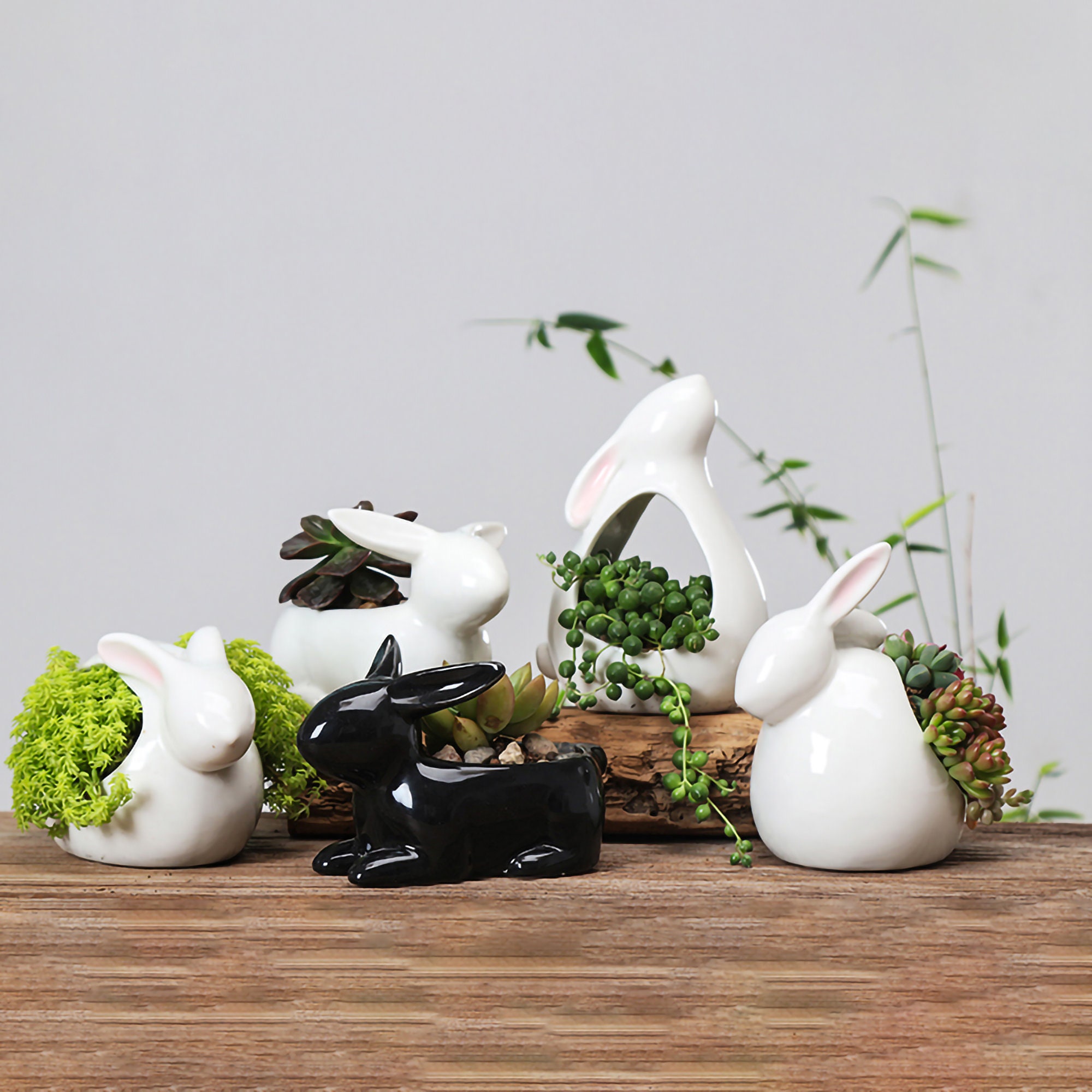 Cute Rabbit Plant Pot Rabbit Planter Rhinoceros Gifts | Etsy