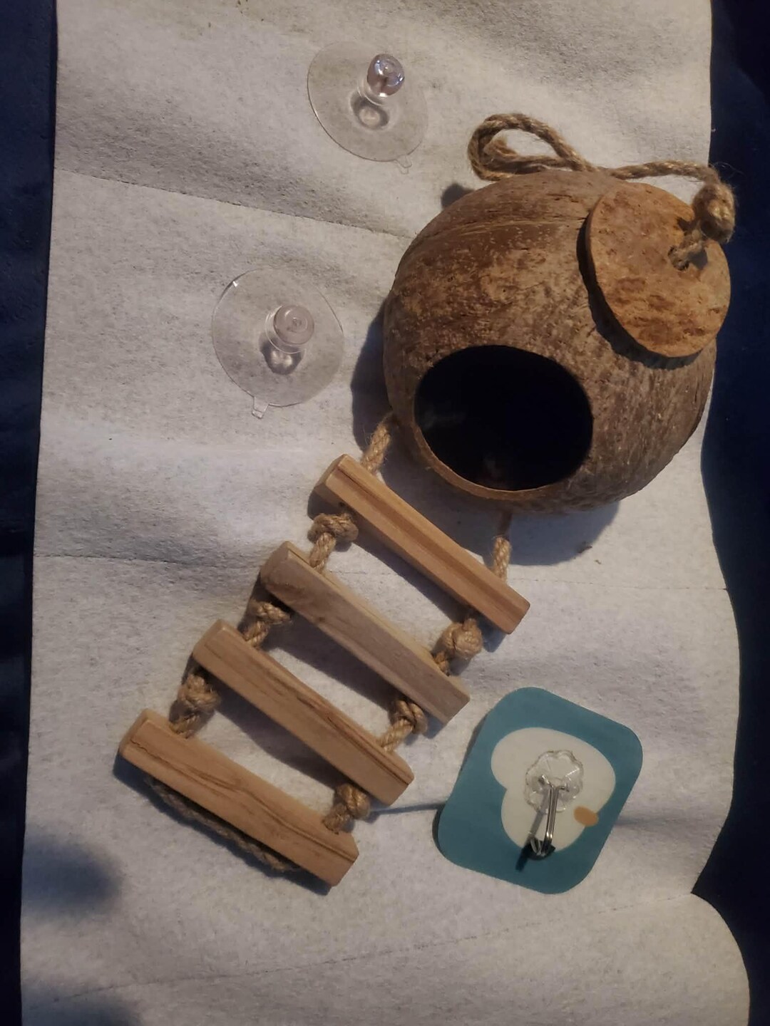 Coconut Hide With Ladder for Gecko - Etsy