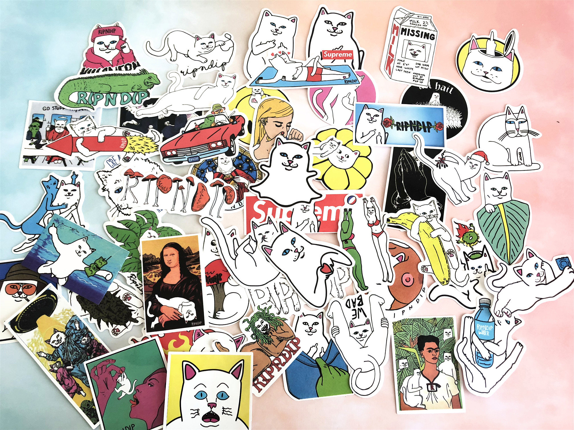 50Pcs RIPNDIP Funny Cat stickers packVinyl stickersLaptop | Etsy
