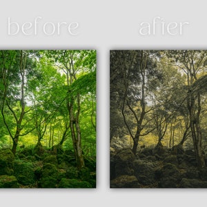 FOREST TONES Lightroom Presets, 10 Mobile & Desktop Presets, Spring ...