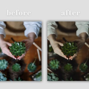 MOODY PLANT Lightroom Presets, 10 Mobile & Desktop Presets, Houseplant ...