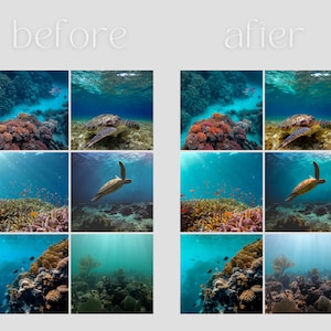 UNDERWATER PHOTOGRAPHY Lightroom Presets, 10 Mobile & Desktop Presets ...