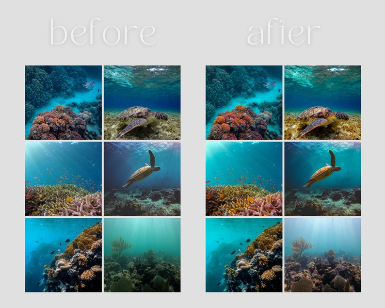 UNDERWATER PHOTOGRAPHY Lightroom Presets, 10 Mobile & Desktop Presets ...