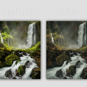 FOREST TONES Lightroom Presets, 10 Mobile & Desktop Presets, Spring ...