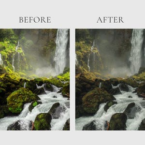 FOREST TONES Lightroom Presets, 10 Mobile & Desktop Presets, Spring ...