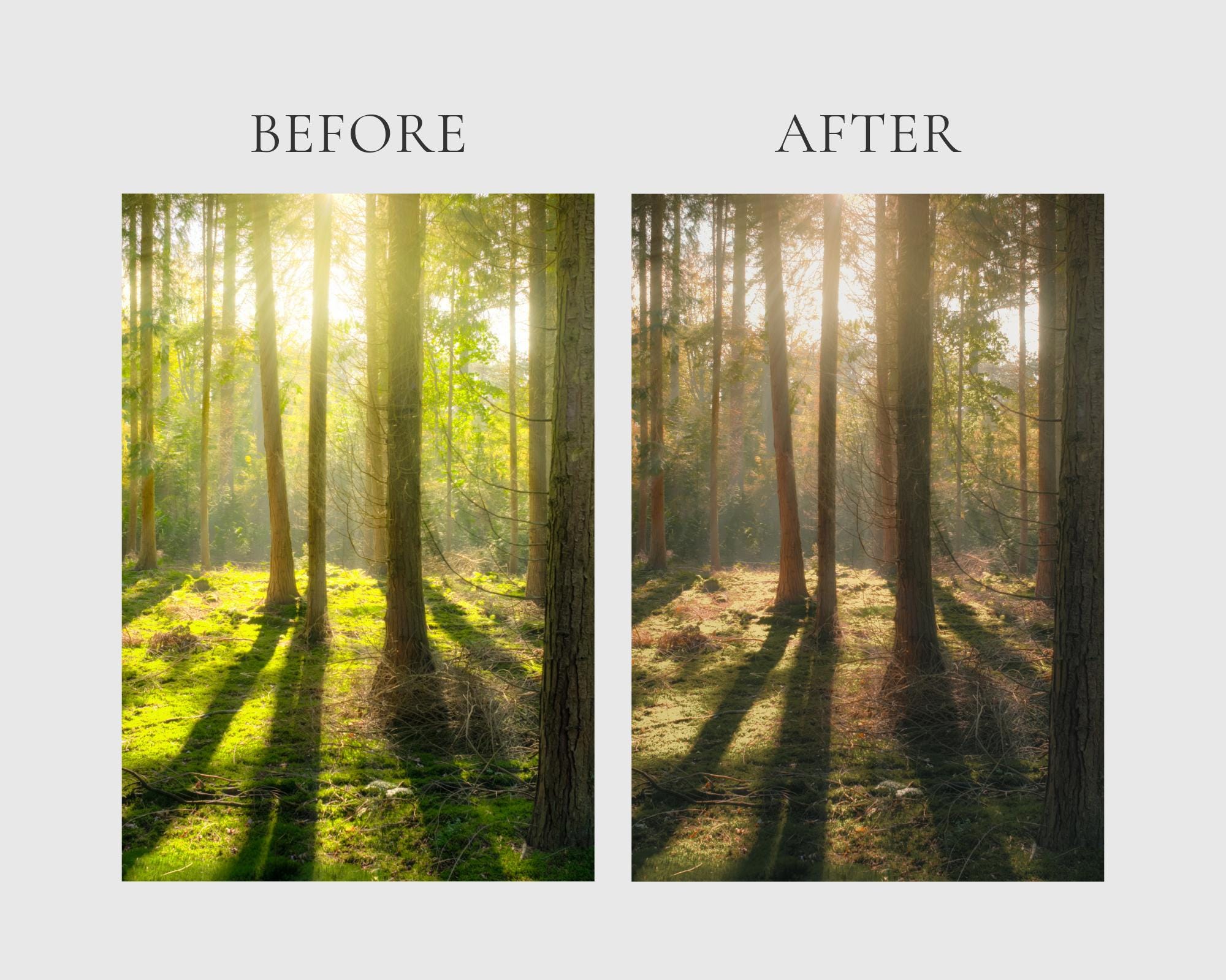 FOREST TONES Lightroom Presets, 10 Mobile & Desktop Presets, Spring ...