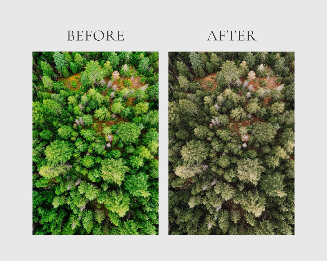 FOREST TONES Lightroom Presets, 10 Mobile & Desktop Presets, Spring ...