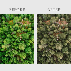 FOREST TONES Lightroom Presets, 10 Mobile & Desktop Presets, Spring ...