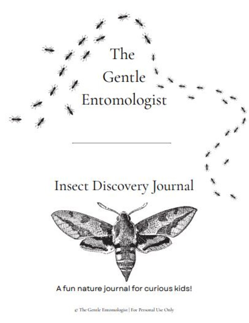Insect Observation Journal Printable for Kids | Bug Study Worksheets ...
