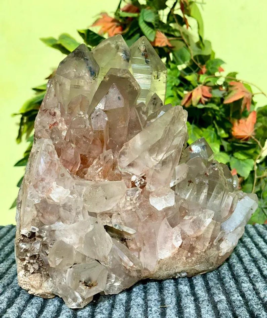 Large Himalayan Quartz Cluster – Black Tourmaline Phantom, Clear Quartz ...