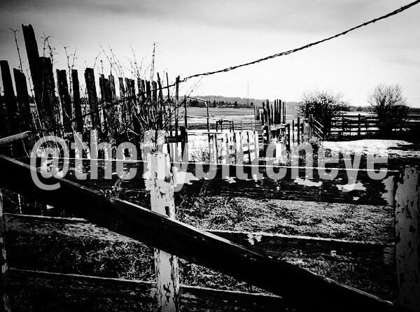 B&W Scary Farm Stockphoto Set 1 Halloween Spooky Photos for Graphic ...