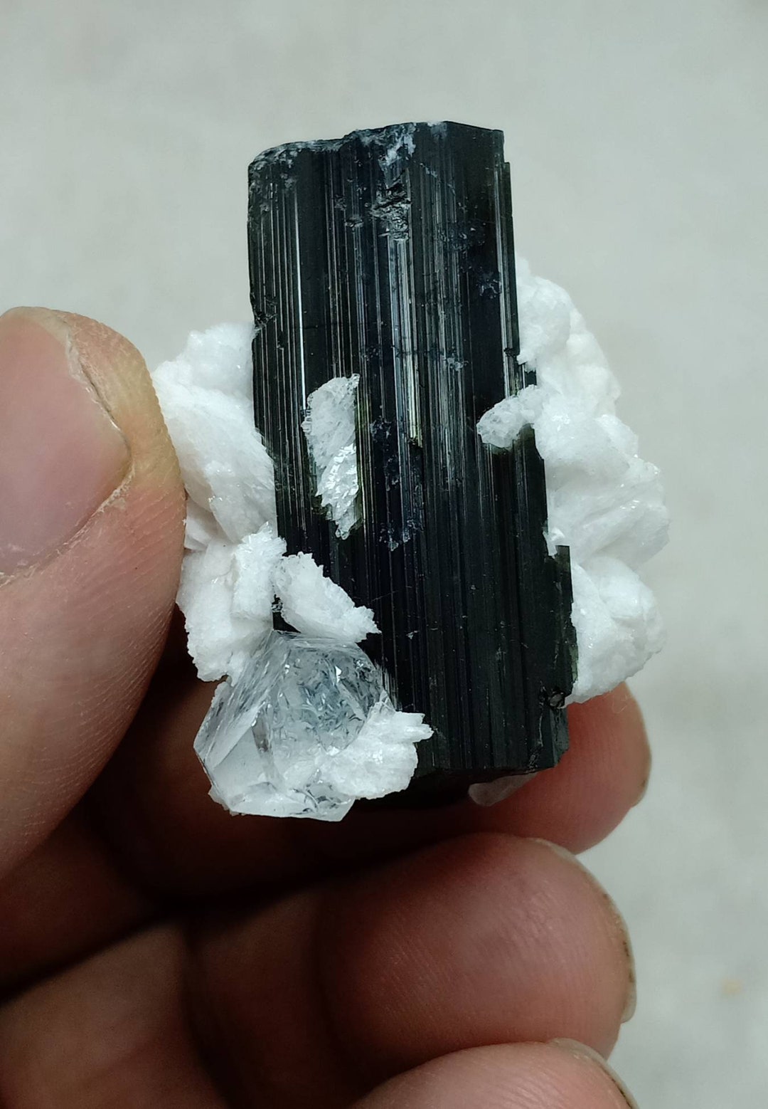 Rocks Gems Minerals Crystals Stones: Black Tourmaline Crystal With ...