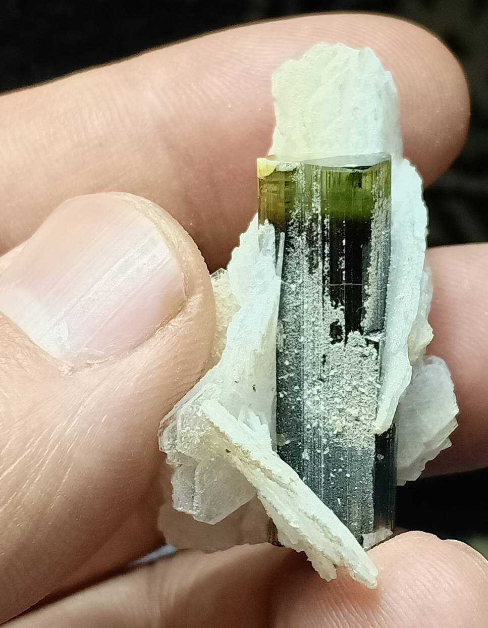 An amazing specimen of multicolor Tourmaline with associated | Etsy