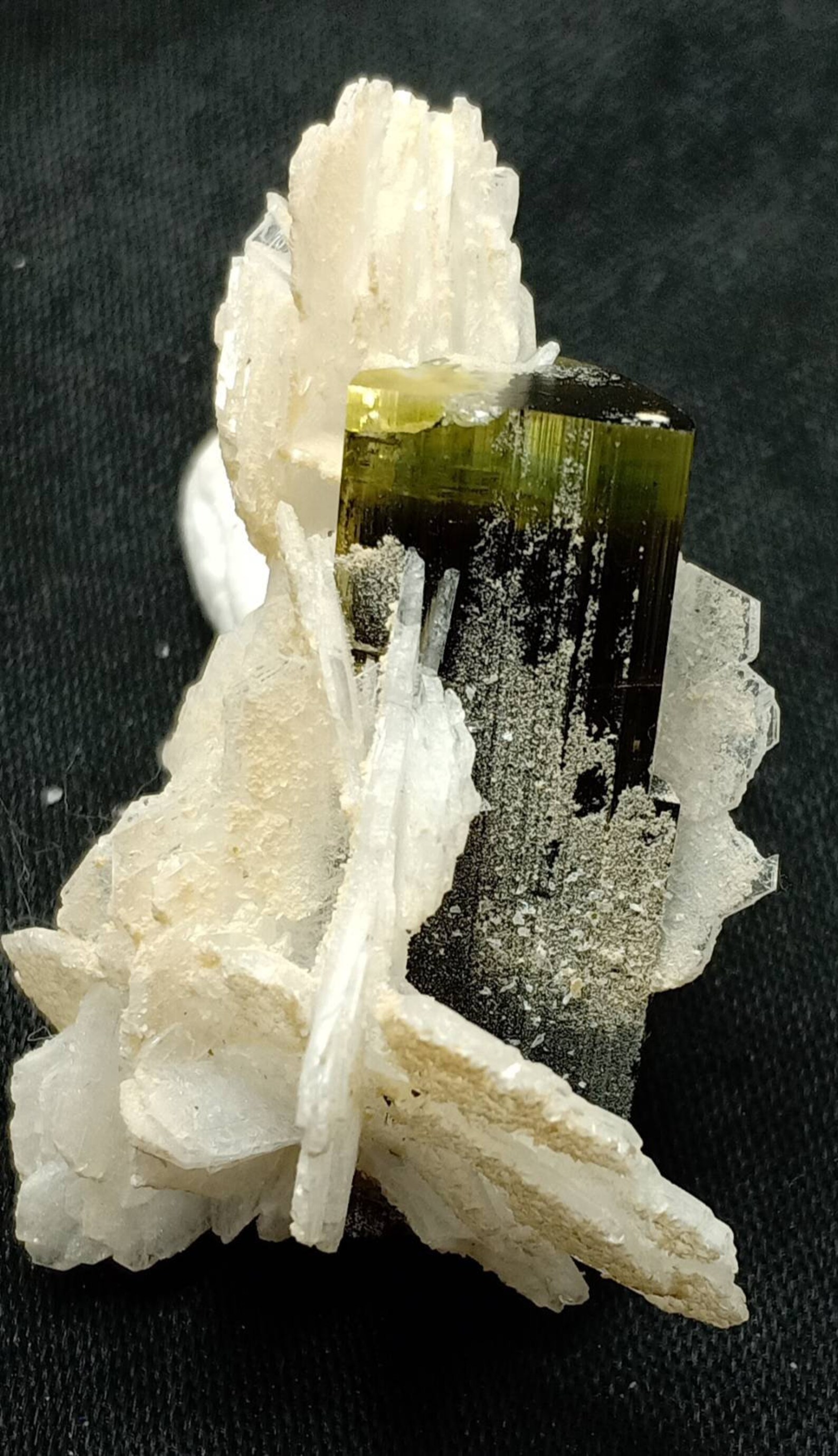 An Amazing Specimen of Multicolor Tourmaline With Associated - Etsy