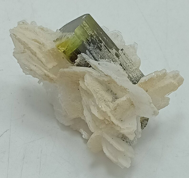 An Amazing Specimen of Multicolor Tourmaline With Associated | Etsy