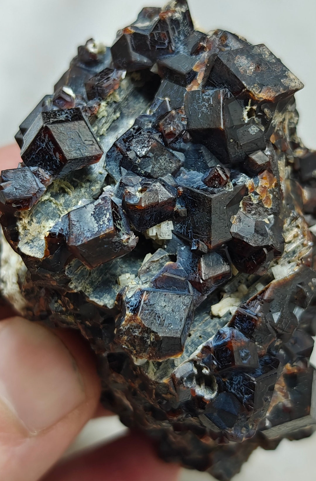 Rocks Gems Minerals Crystals Stones: Natural Andradite Garnets Cluster ...