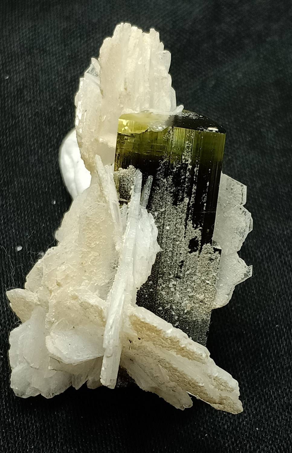 An Amazing Specimen of Multicolor Tourmaline With Associated | Etsy
