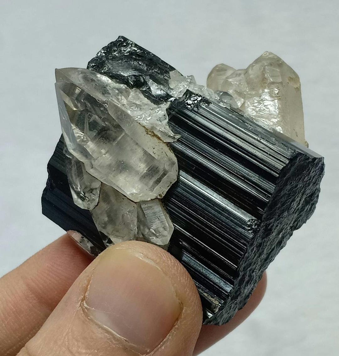 Rocks Gems Minerals Crystals Stones: Black Tourmaline Crystal Nested in Terminated Quartz ...