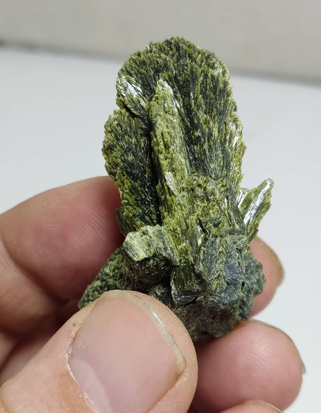 Rocks Gems Minerals Crystals Stones: Epidote Spray Crystal 26 Grams - Etsy