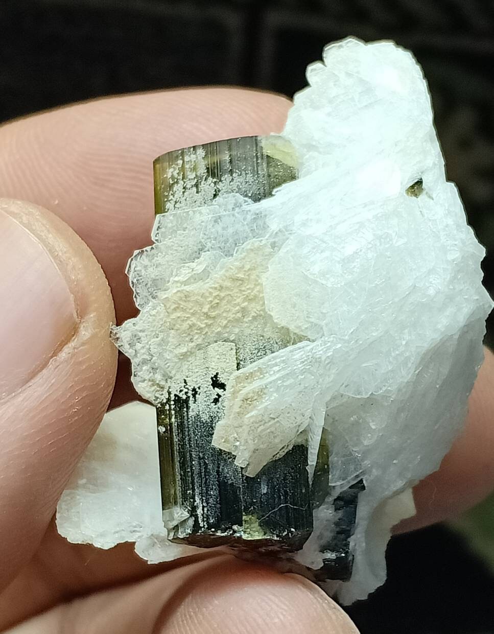 An amazing specimen of multicolor Tourmaline with associated | Etsy