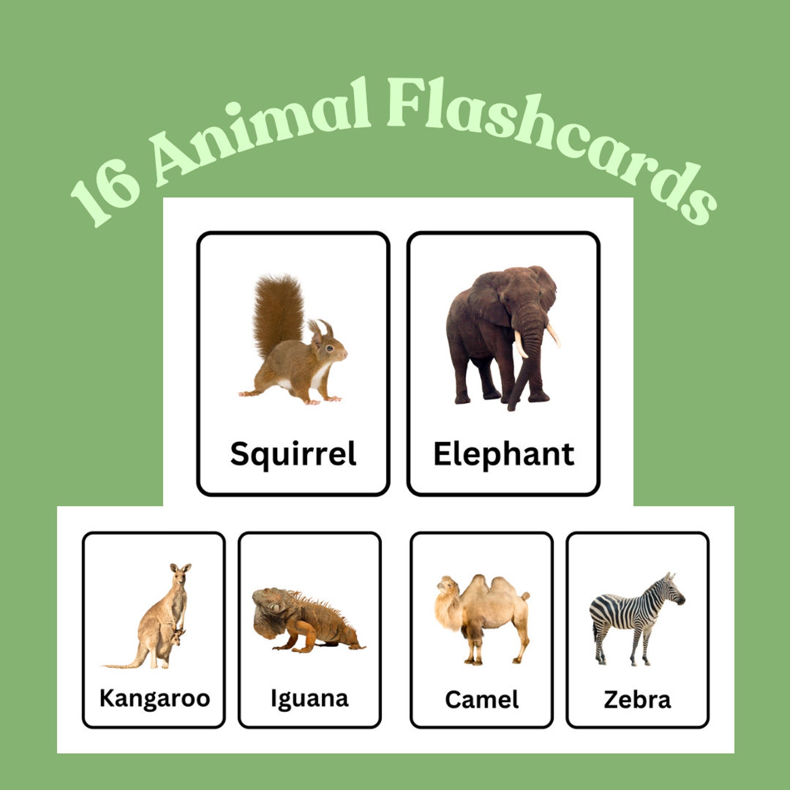 Animal Flashcards Wild Animals - Etsy