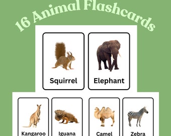 Printable Wild Animals Flashcards BONUS Free Worksheets ESL Animal ...