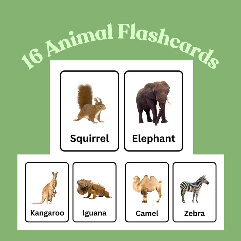 Animal Flashcards Wild Animals - Etsy