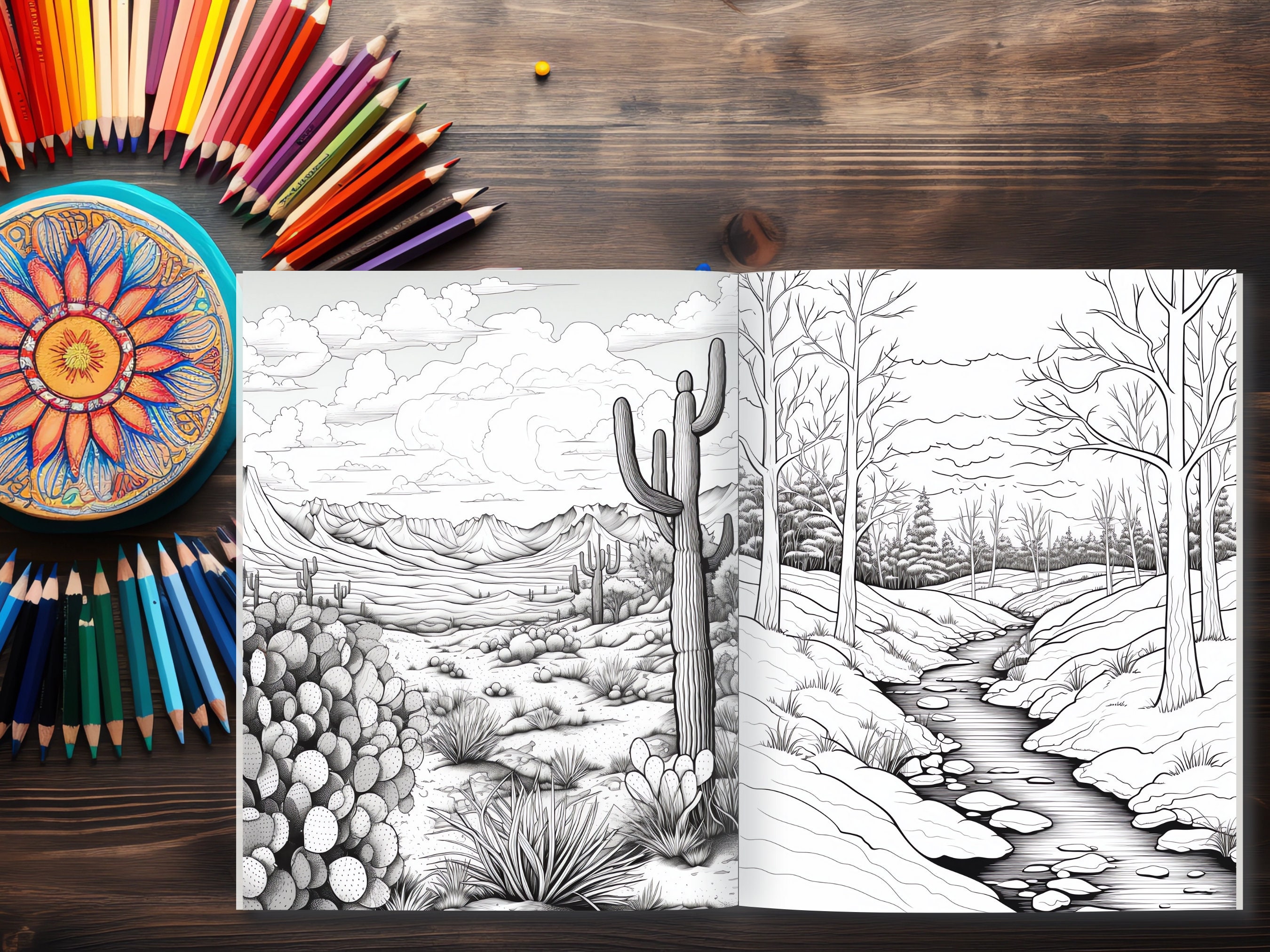 184 Boho Landscape Coloring Pages for Adults, Minimalist Design for ...