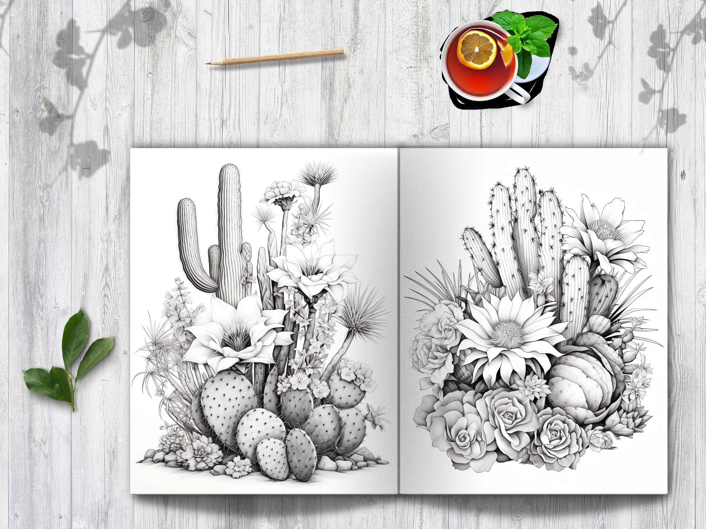 142 Cactus & Succulent Coloring Pages,plant Coloring Pages for Adults ...