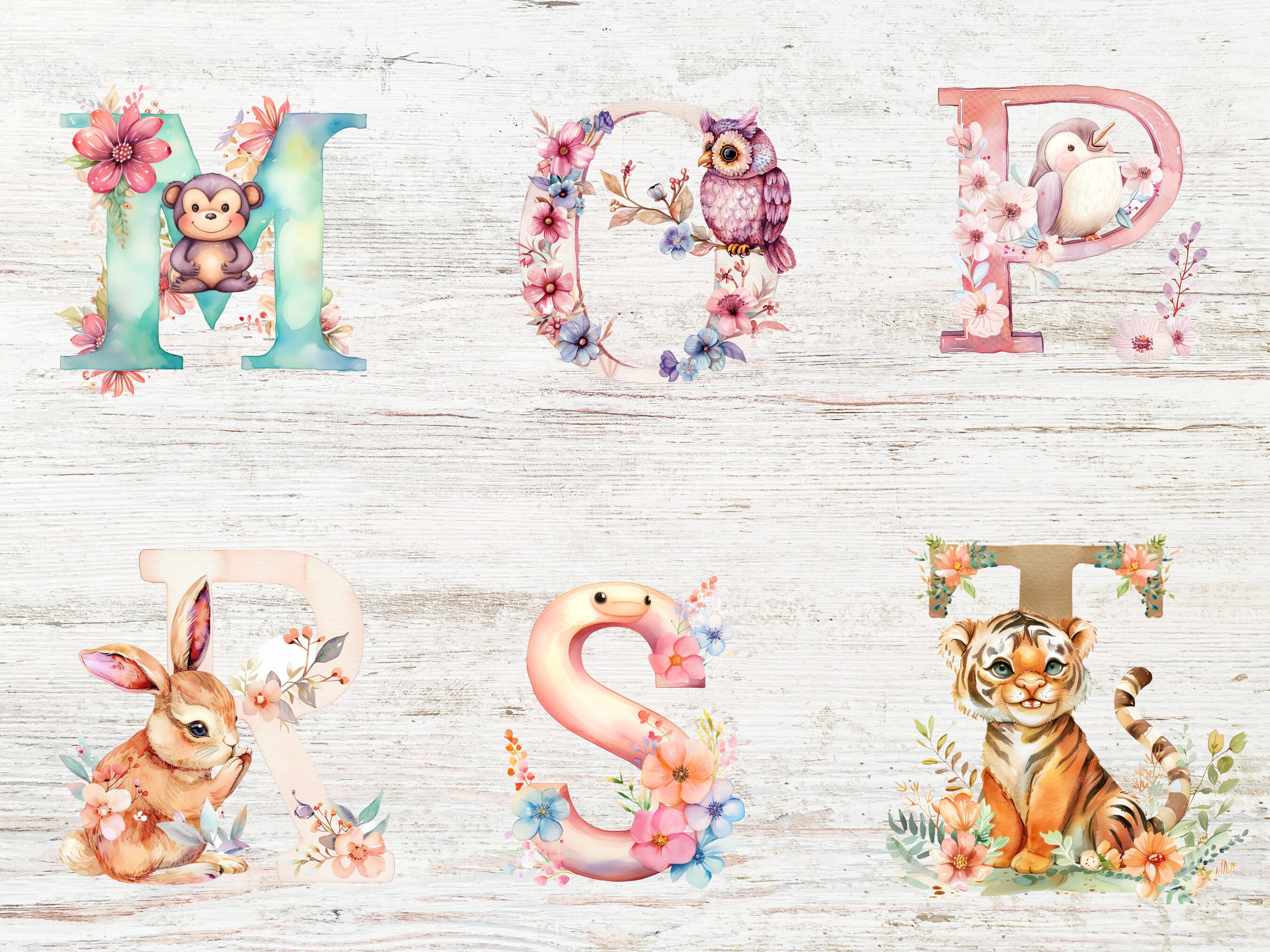 Cute Animal Alphabet Sublimation Clipart,animal Alphabet Png,education ...