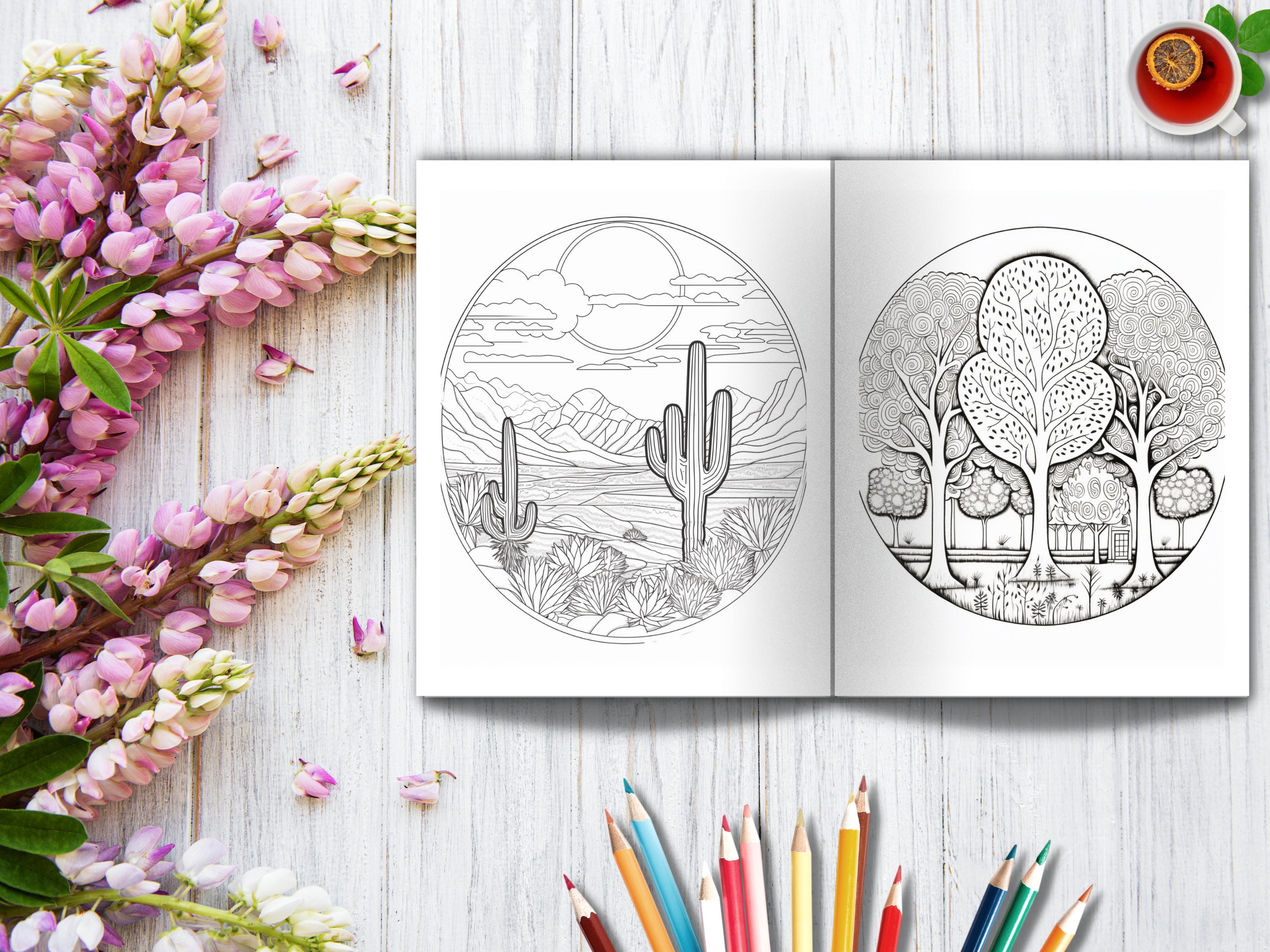 Minimalist Boho Art Coloring Book for Adults,mindfulness Coloring Pages ...