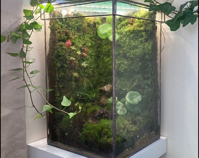 Large Closed Terrarium With Removable Top - Etsy UK