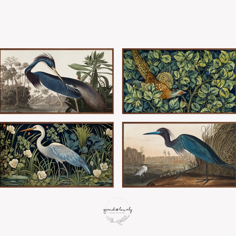 Audubon Wildlife Art Prints - Etsy