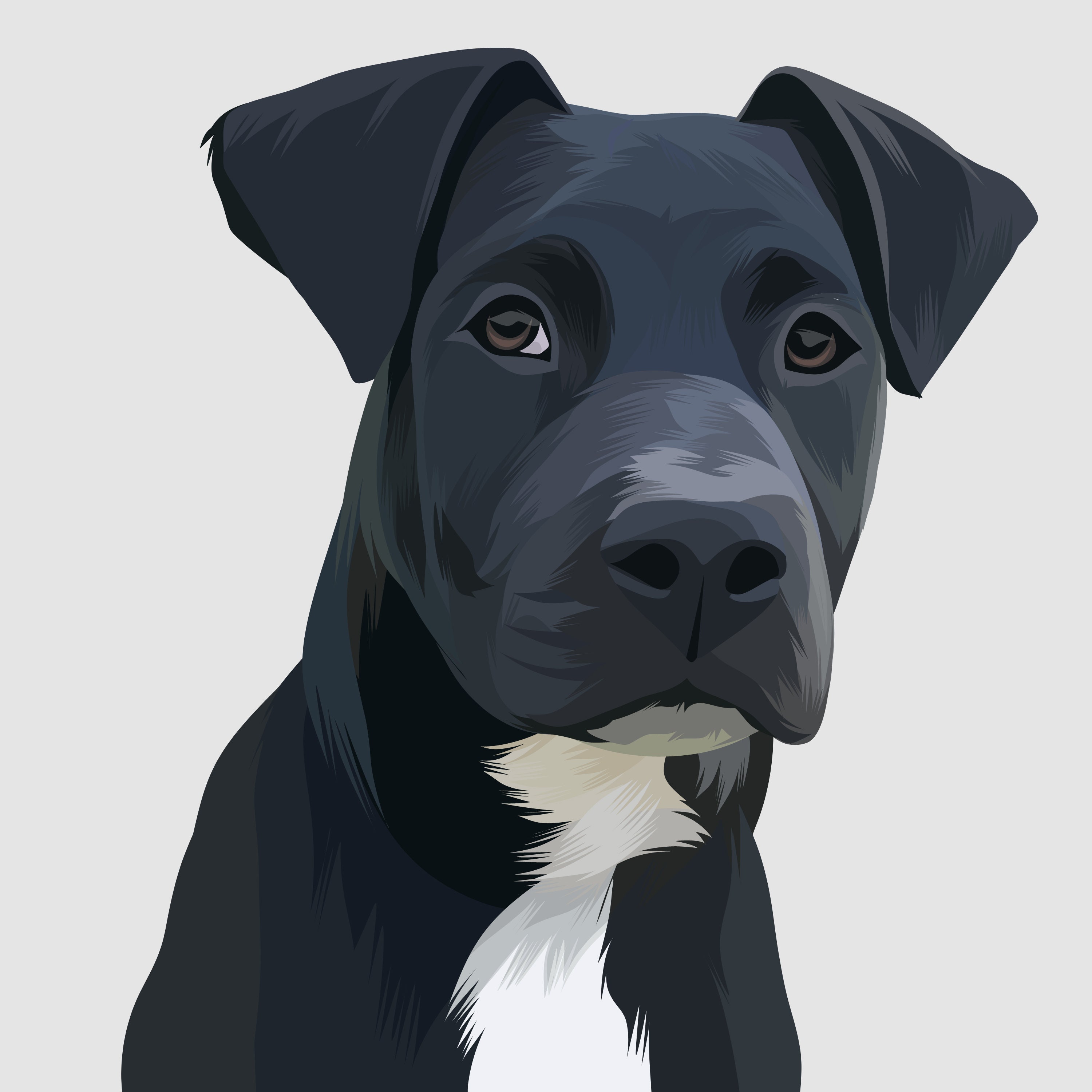 Vector Pet Portrait, Design Portrait of Your Pet in Vector, Dog ...