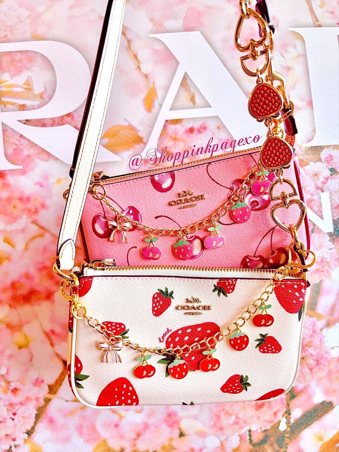 Strawberries & Cherries Purse Chains. - Etsy