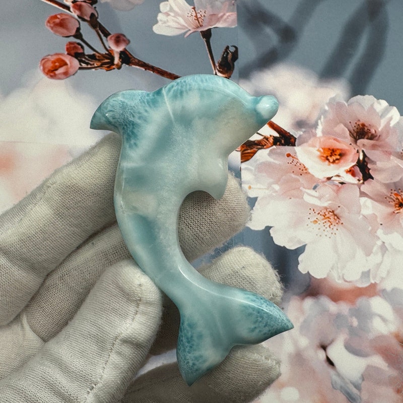 Dolphin Stone - Etsy