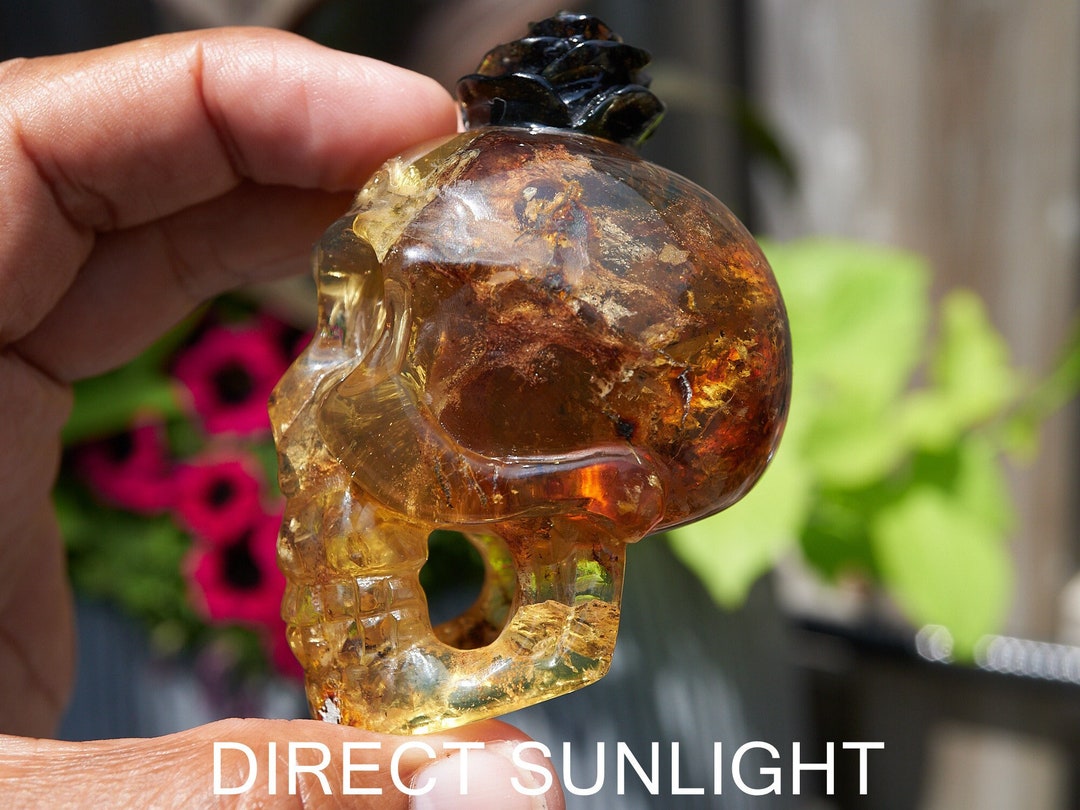 Hand-carved Natural Amber Skull | Genuine Amber Sculpture | Unique ...