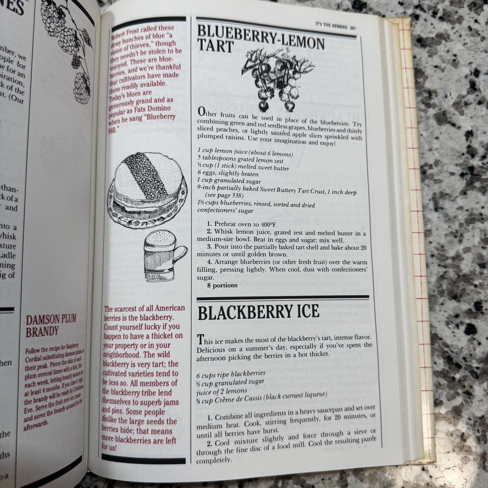 The Silver Palate Cookbook - Etsy