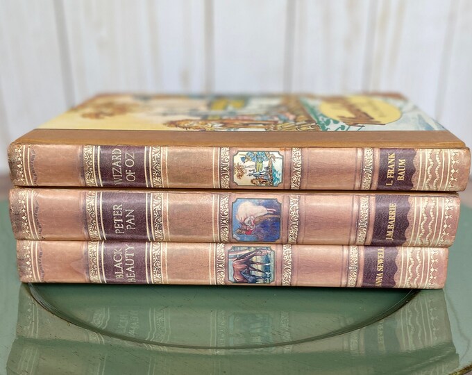 Classic Children's Books, Classic Book Set, Black Beauty, Wizard of Oz ...