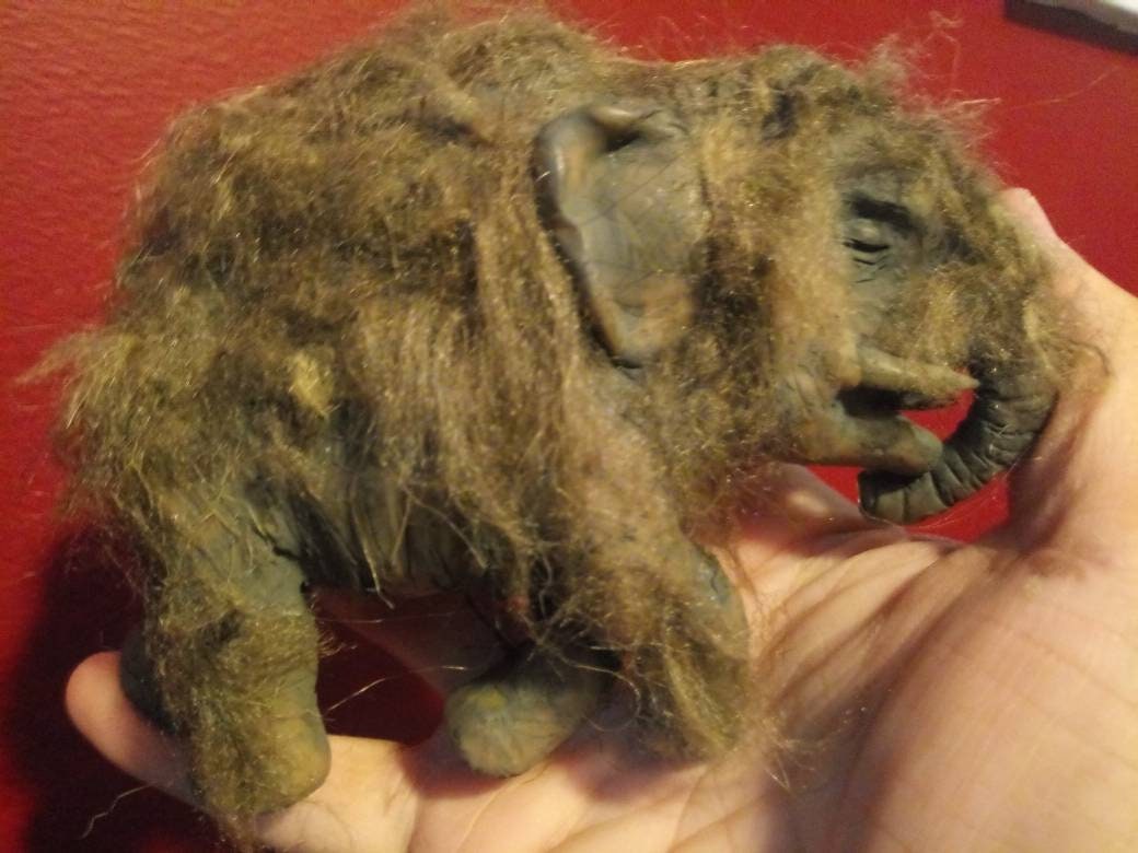 Wee Wooly, the Miniature Mammoth Oddity Sideshow Attraction - Etsy