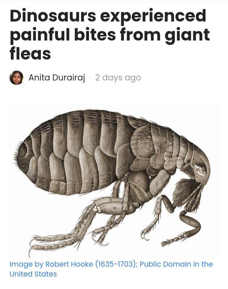 Giant Flea– Prehistoric Monster Sculpture - Etsy