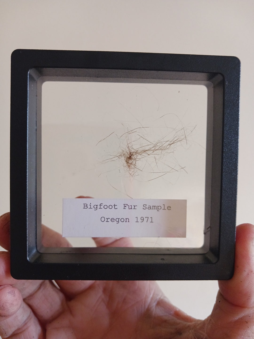 Bigfoot Fur, Sasquatch Hair Yeti Evidence Relic Art Prop Replica - Etsy