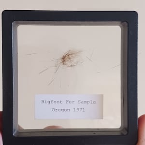 Bigfoot Fur, Sasquatch Hair Yeti Evidence Relic Art Prop Replica - Etsy