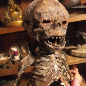 Mummified Pygmy Warrior - Etsy
