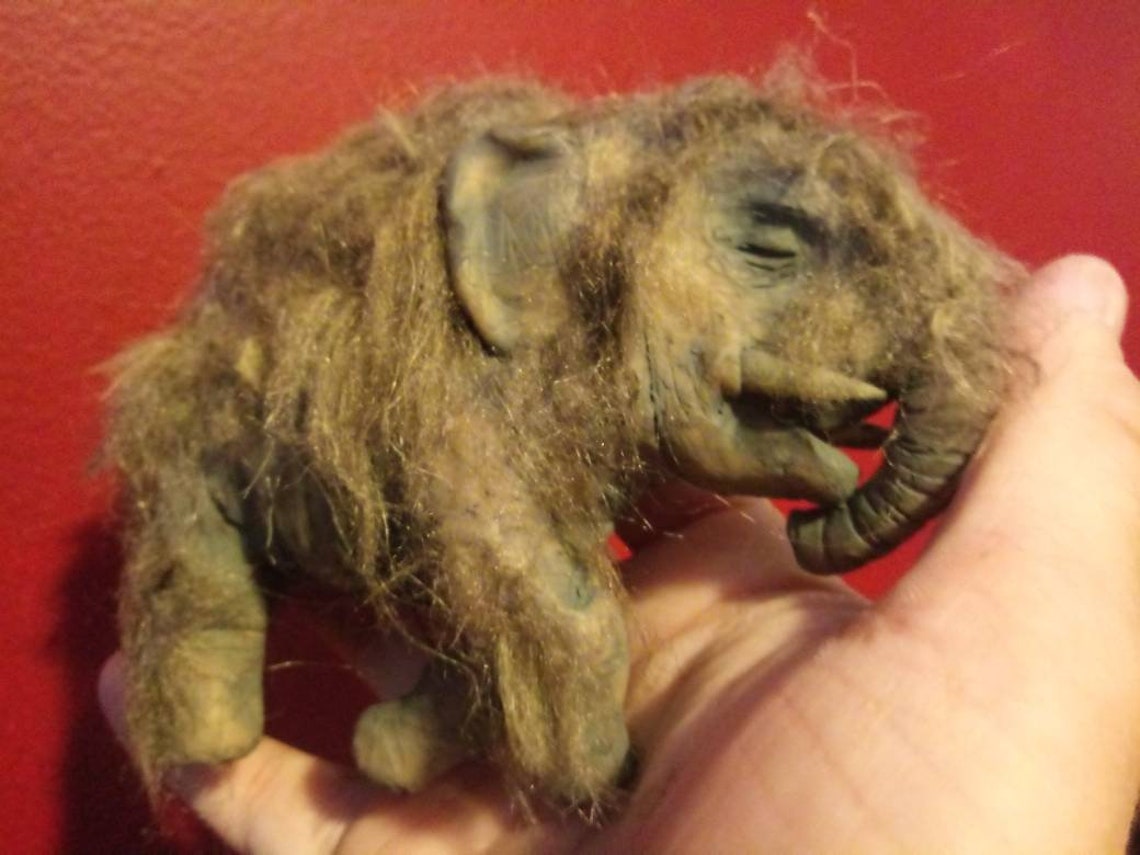 Wee Wooly the Miniature Mammoth Oddity Sideshow Attraction - Etsy