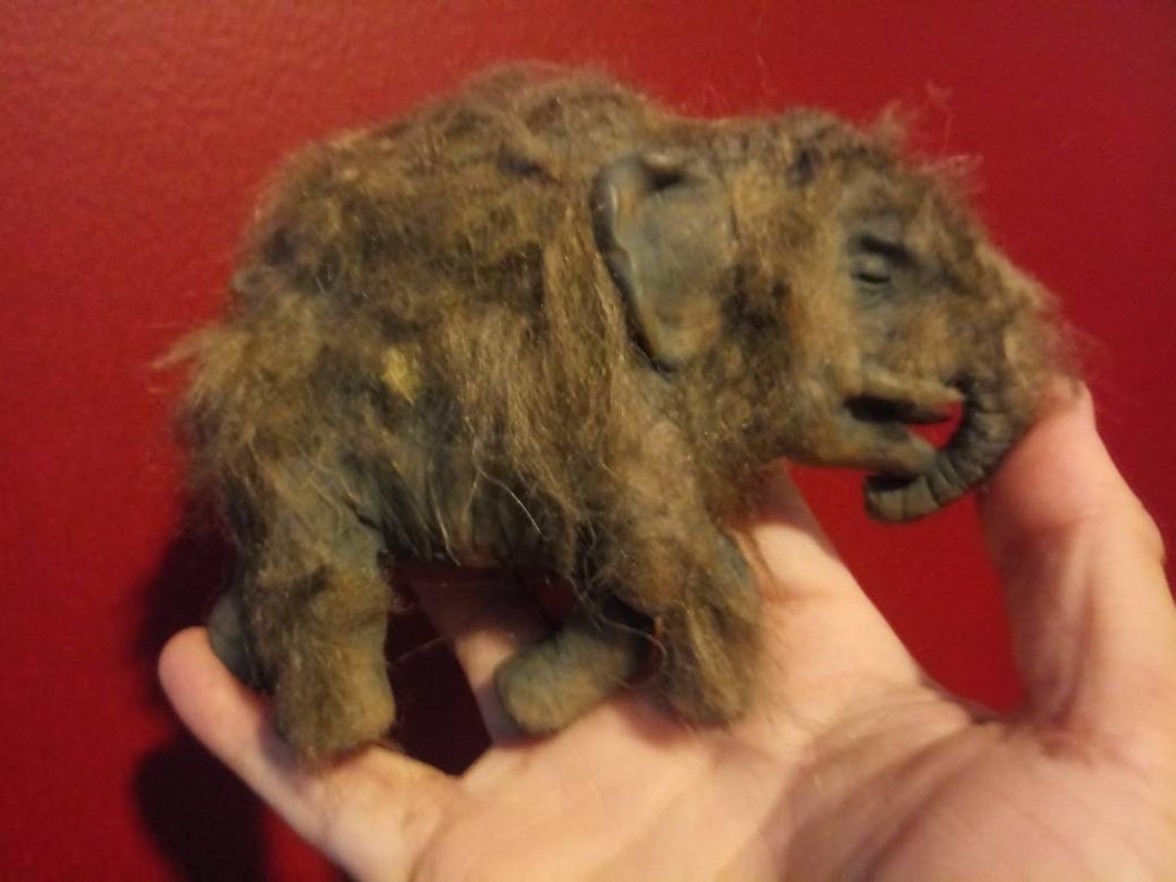 Wee Wooly, the Miniature Mammoth Oddity Sideshow Attraction - Etsy