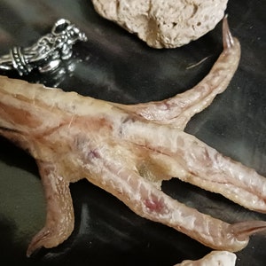 Chickenfoot Talisman Gris Gris Good Luck Charm - Etsy