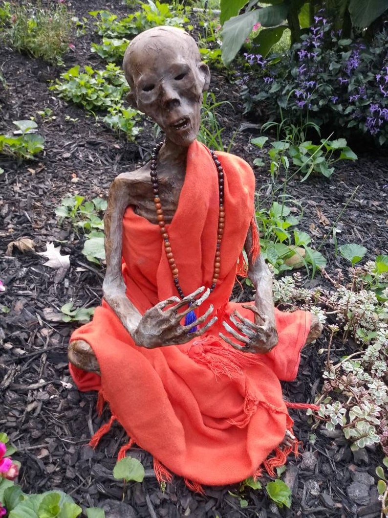 Rare Mummified Monk Pygmy Oddity Museum Exhibit Sideshow Gaff | Etsy