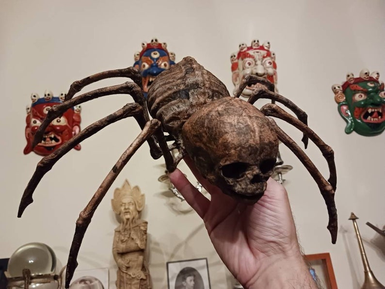 Half Spider Half Human Child All Horror Sideshow Gaff - Etsy